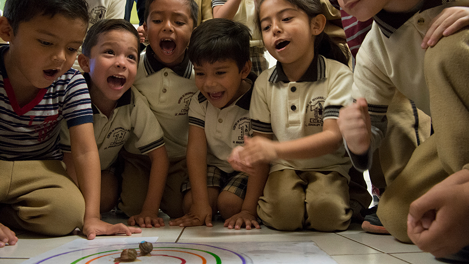 Experimento – STEM education initiative in Mexico